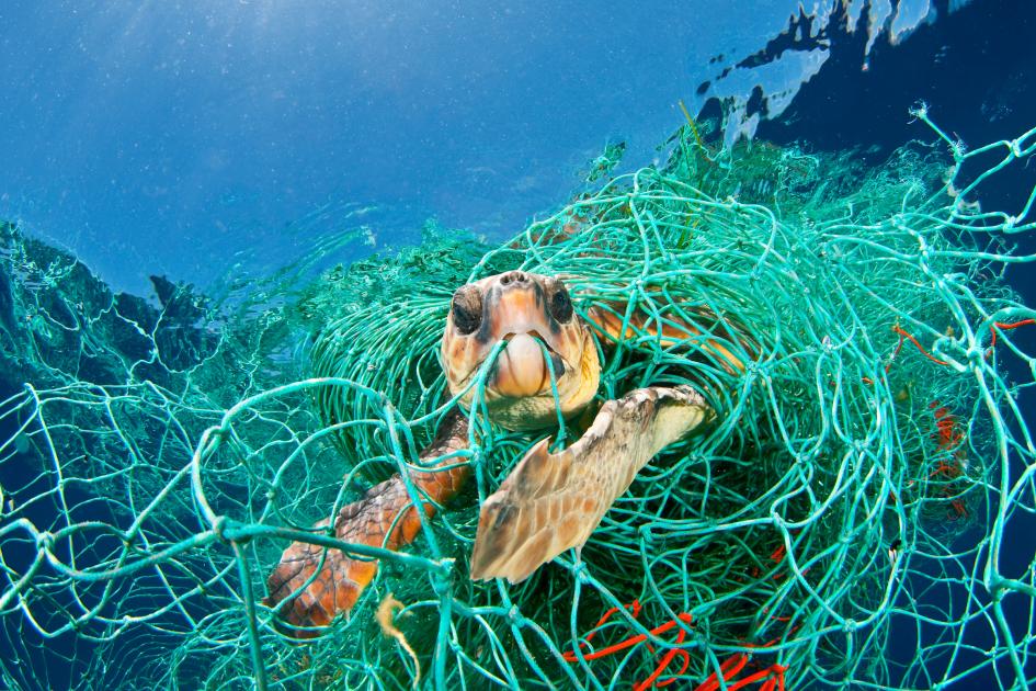 WWF TES Classroom Resource - Oceans and Plastics Pollution | WWF