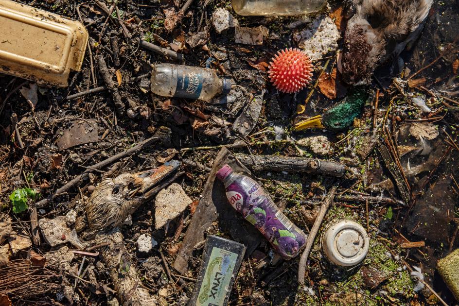 UK Global Footprint Report | WWF