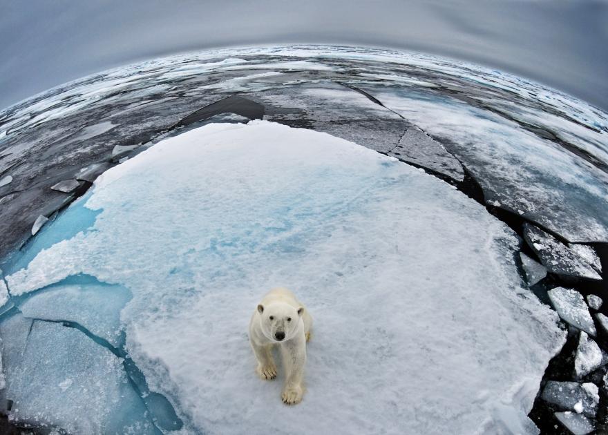 Climate change resources for schools | WWF