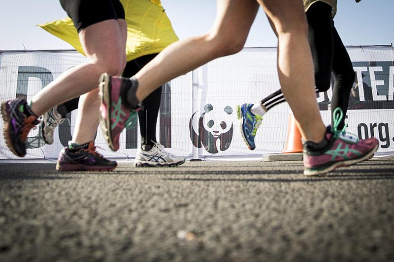 Run a marathon for WWF | WWF