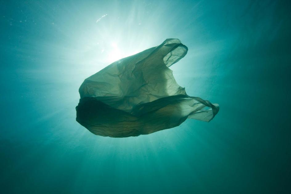 Plastic - the never ending story | WWF