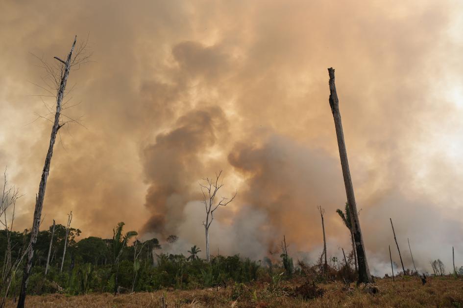Amazon Fires FAQs | WWF