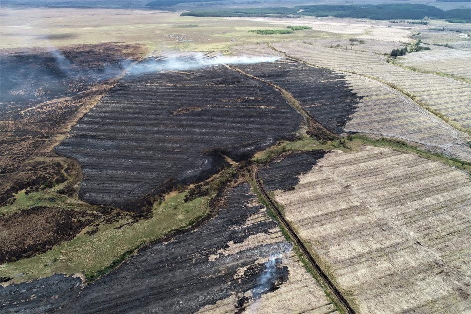 Action needed as wildfires surge across Scotland | WWF