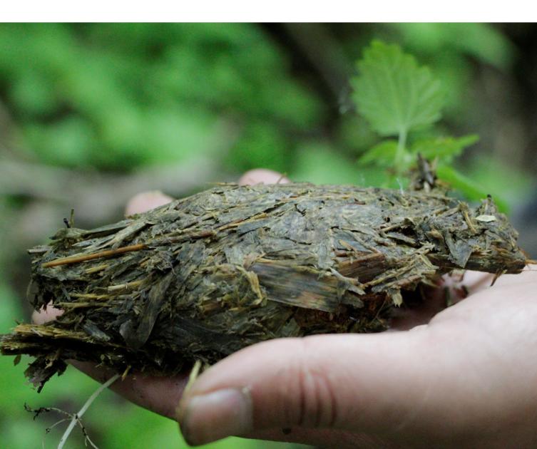 How well do you know your animal poo? | WWF