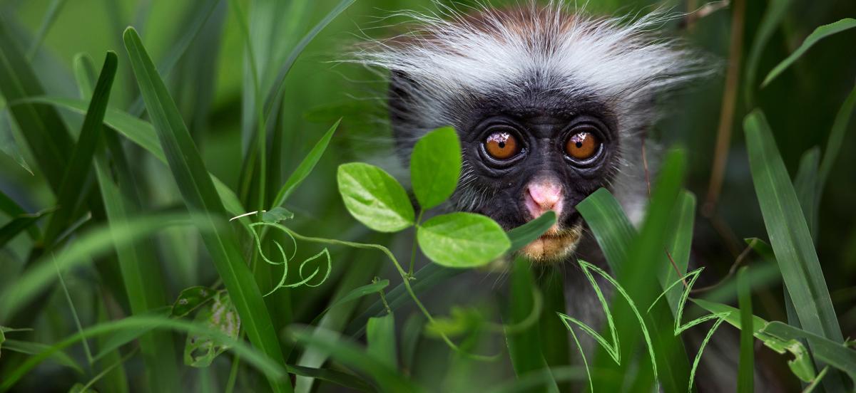 Learn to love nature | WWF