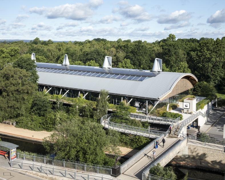 How we are governed | WWF