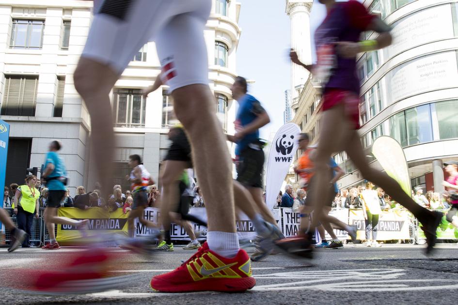 WWF events training hub | WWF