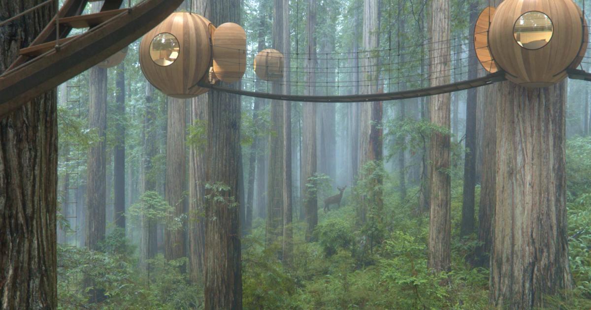 Future Visions of Our Planet | WWF