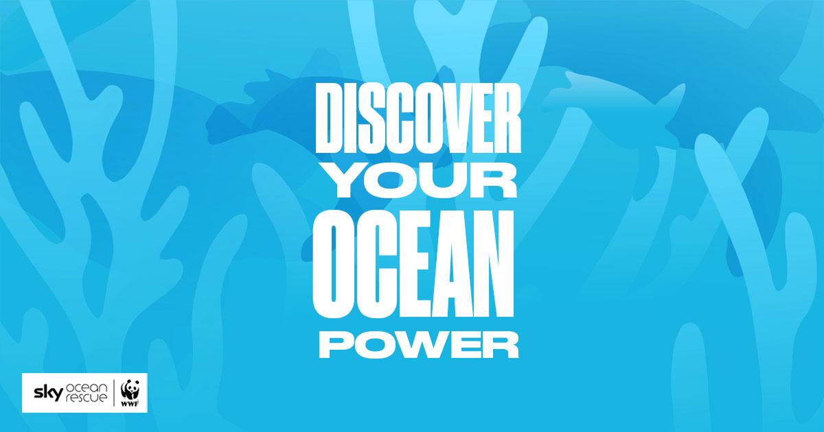 Become an Ocean Hero and take action | WWF