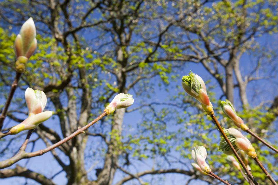 Easter 50 Challenge | WWF