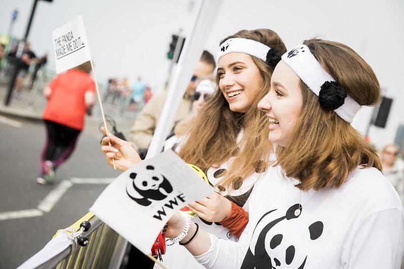 Will you volunteer for us at an event? | WWF
