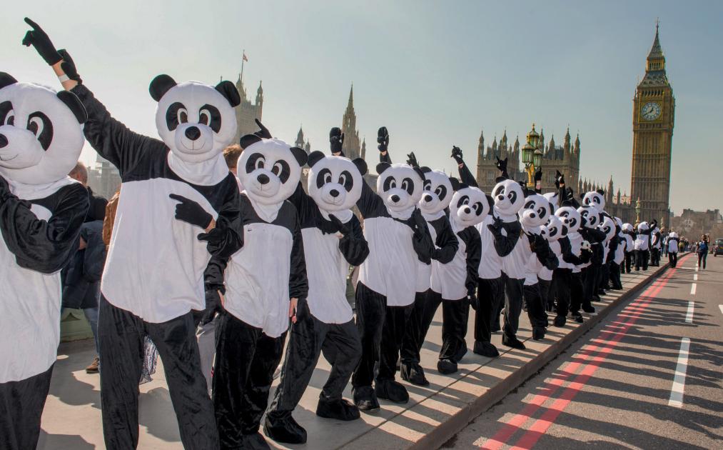 Improving employee engagement with WWF | WWF