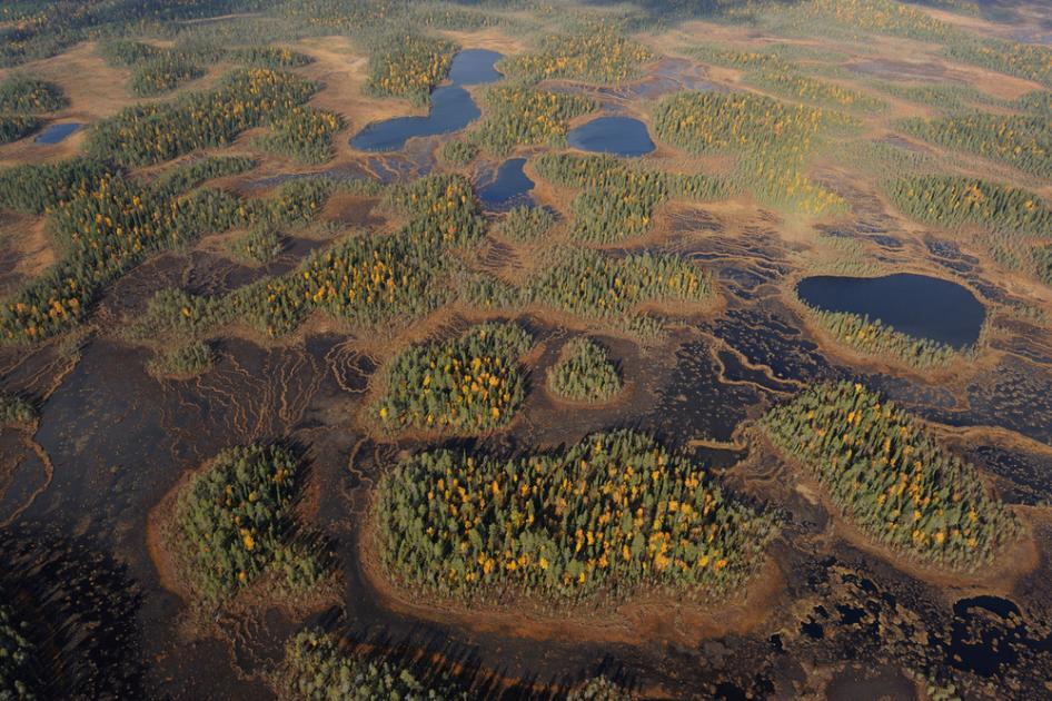 Cutting edge climate technology: nature | WWF