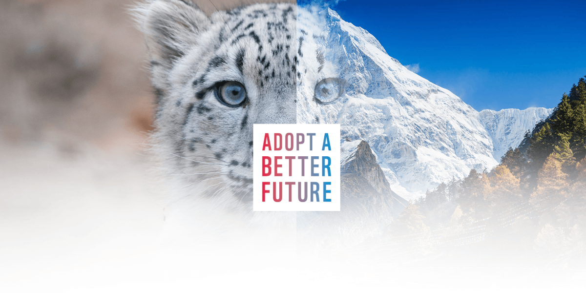 How we can fight climate change | WWF