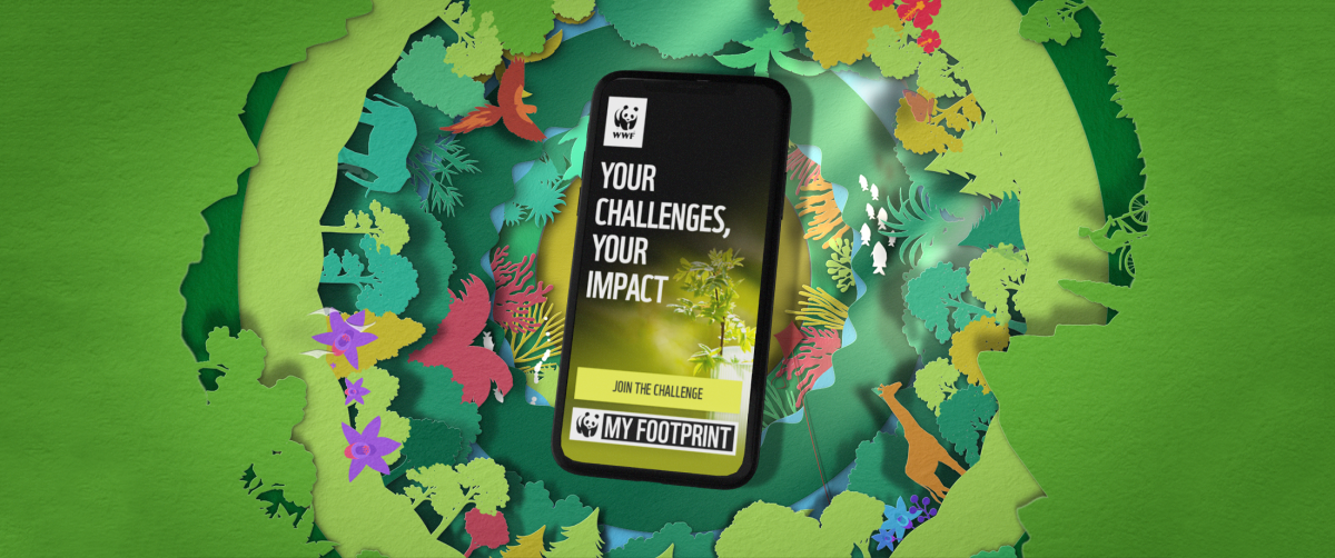 Download WWF's My Footprint app | WWF