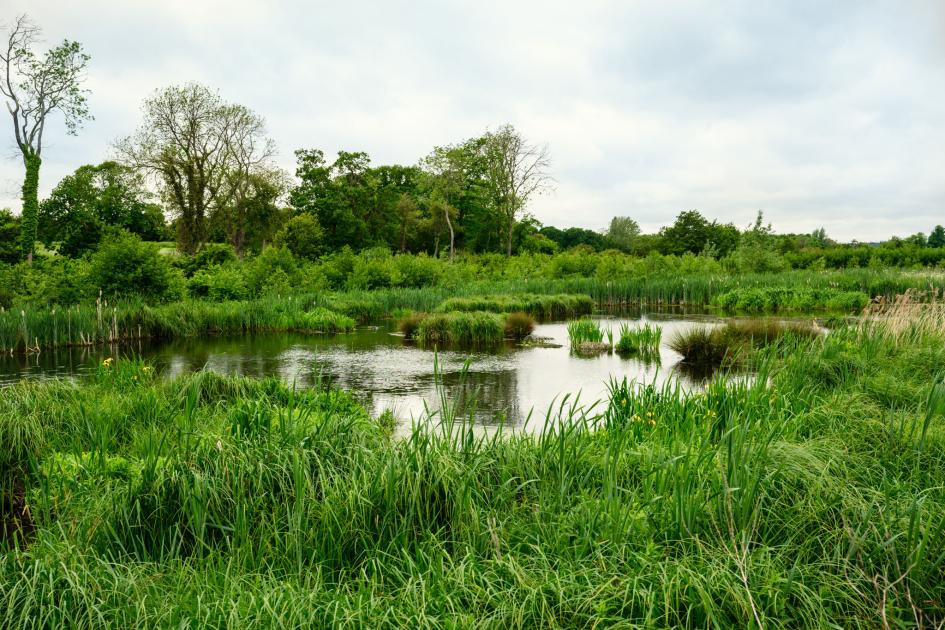 Working with Finish to replenish freshwater in the UK | WWF
