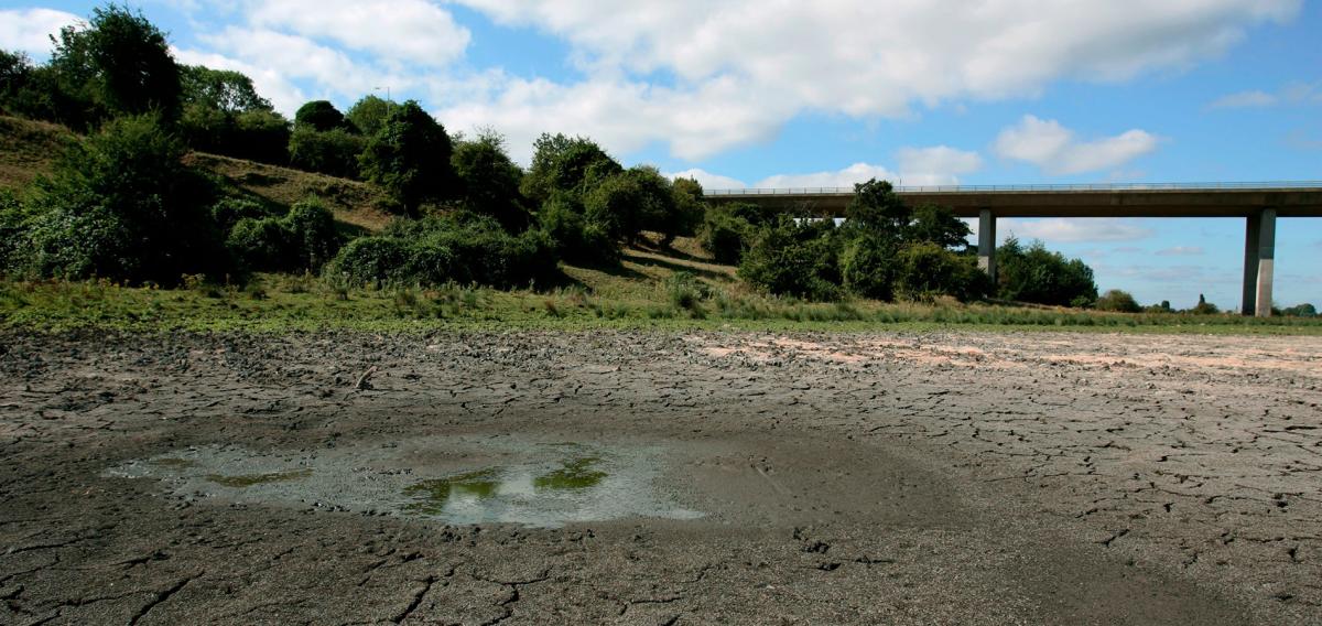 Here are our top ten water-saving tips | WWF