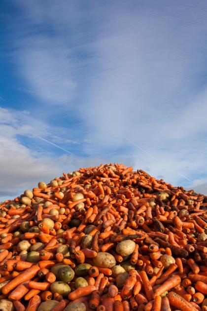 Charities to get £15m to save surplus farm food | The Farming Forum