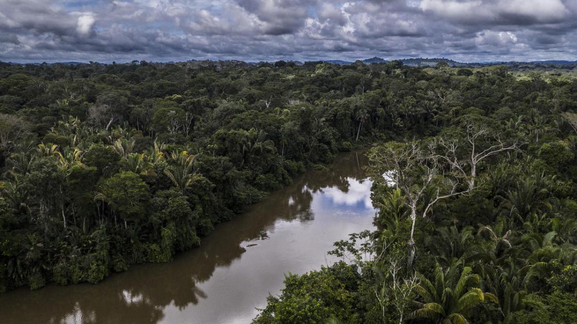 Biodiversity Risk Filter launch at WEF Davos meeting | WWF