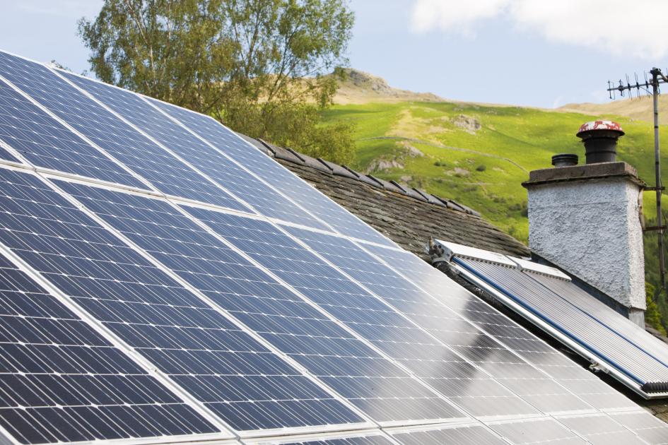 WWF comment on Independent Net Zero Review | WWF