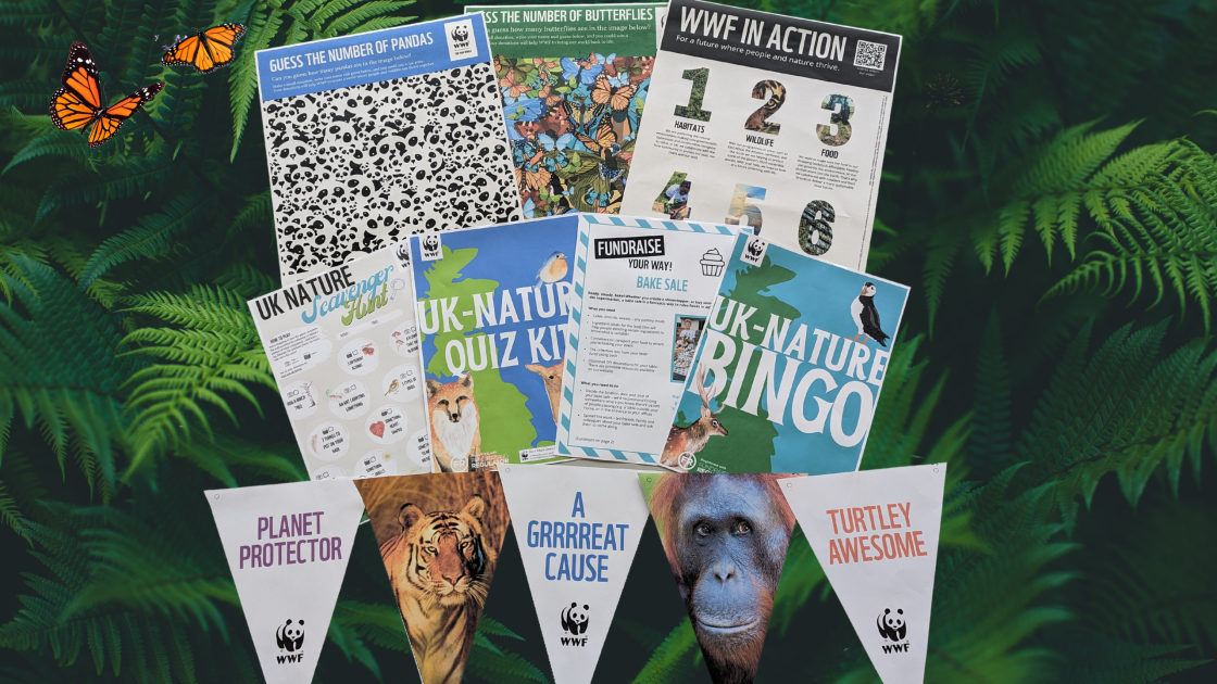 Fundraising resources for your next event | WWF