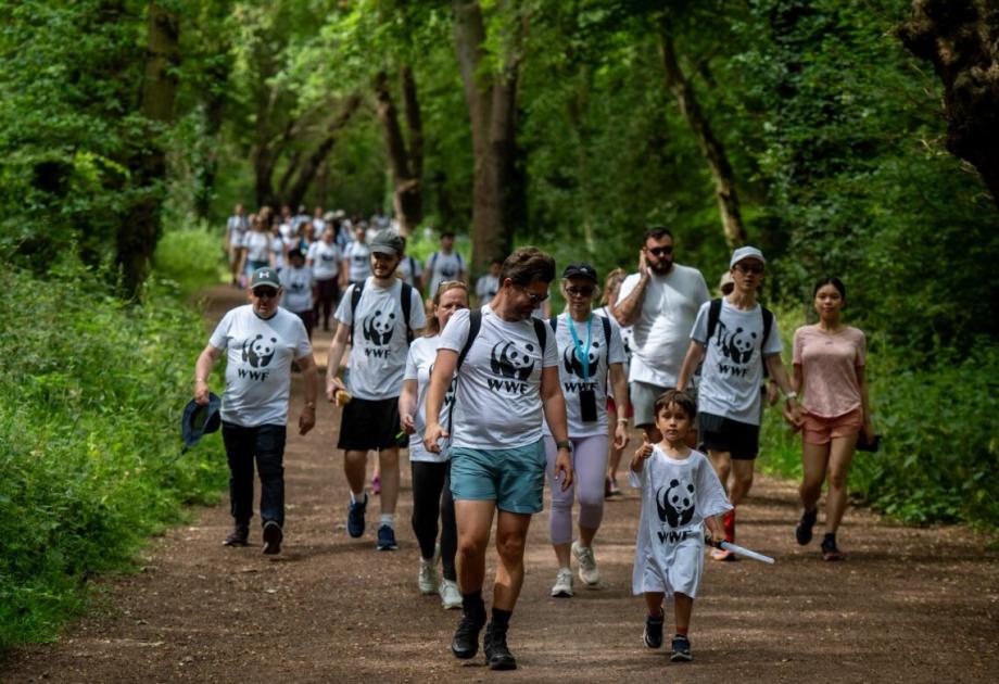Join WWF on a Great Wild Walk | WWF
