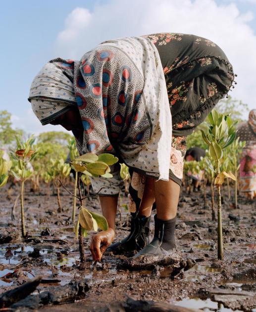 Nature-based Solutions Accelerator Projects | WWF