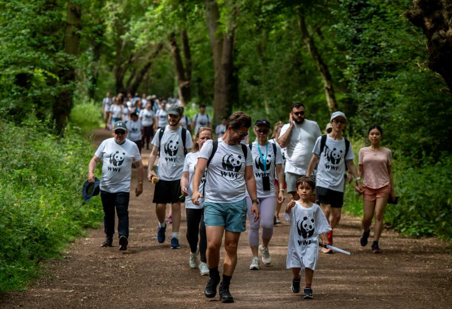 Volunteer at WWF Great Wild Walks | WWF