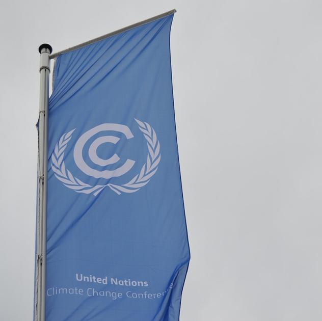 COP28 closing statement PR | WWF