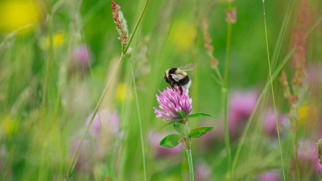 Seasons in Nature | WWF