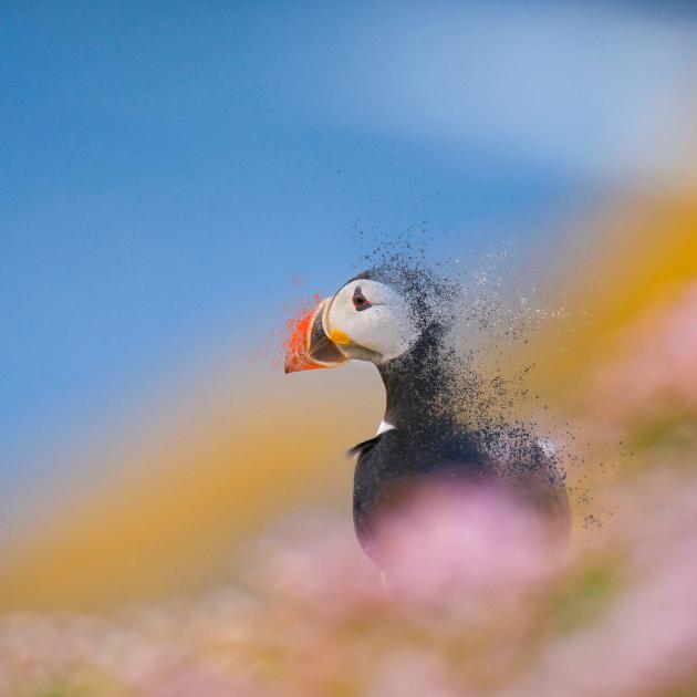 Stop the destruction of nature | WWF