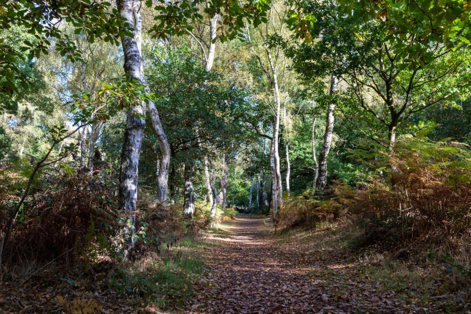 UK walking trails | WWF