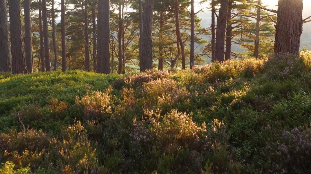 A Prescription For Nature | WWF