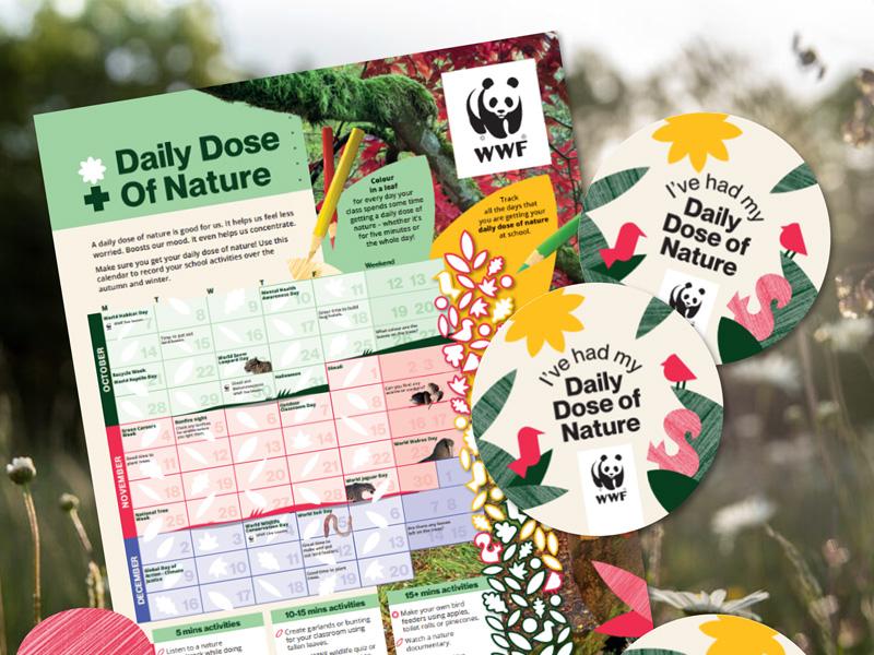 Daily dose of nature schools certificate | WWF