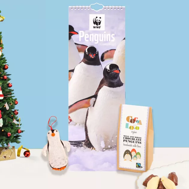 Here's our green Christmas gift guide | WWF