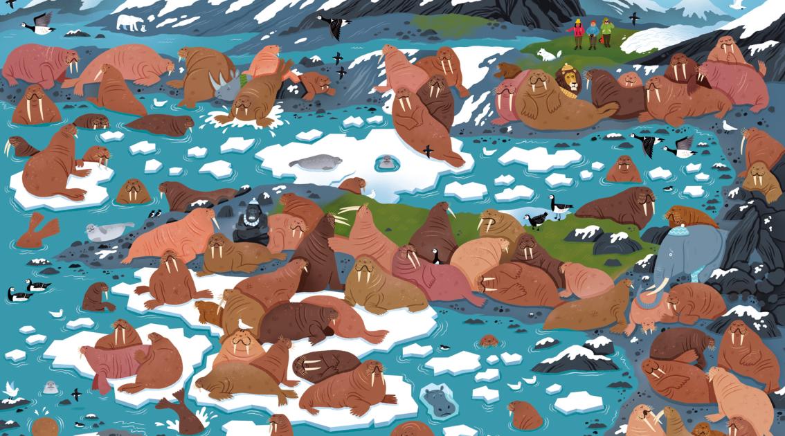 Test your Arctic observation | WWF