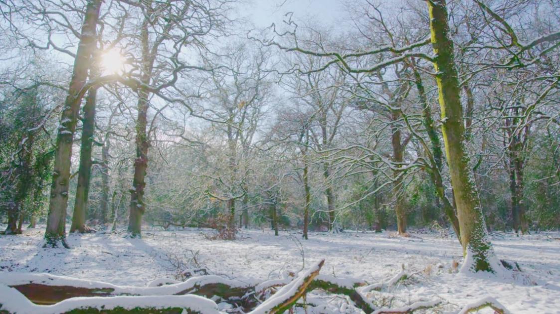 A Prescription For Nature | WWF