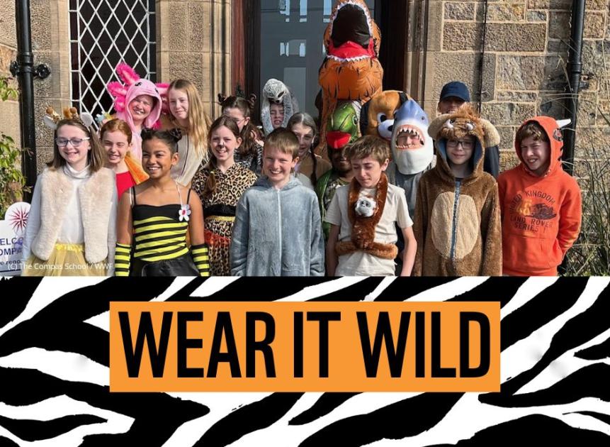 Wear it Wild youth groups: wear it together | WWF