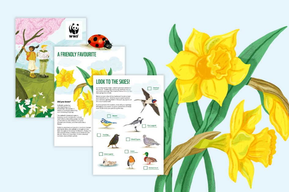 Spring into Nature Activity Pack | WWF