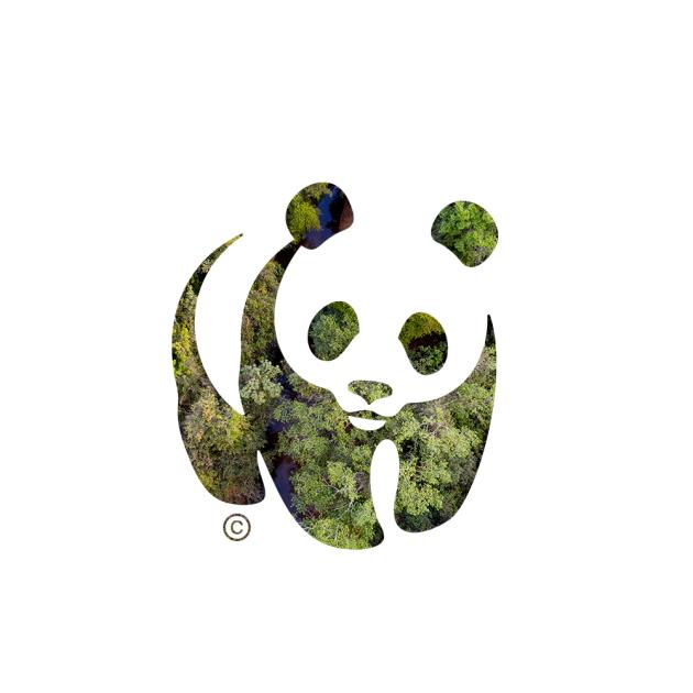 Business briefings | WWF