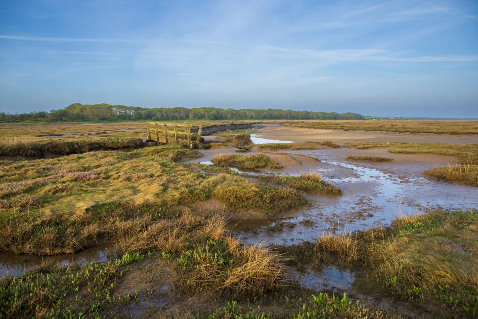 WWF and Aviva unveil new saltmarsh research | WWF