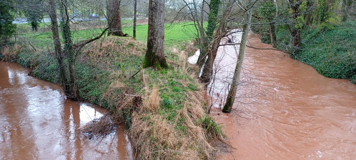 WWF Cymru launch manifesto | WWF