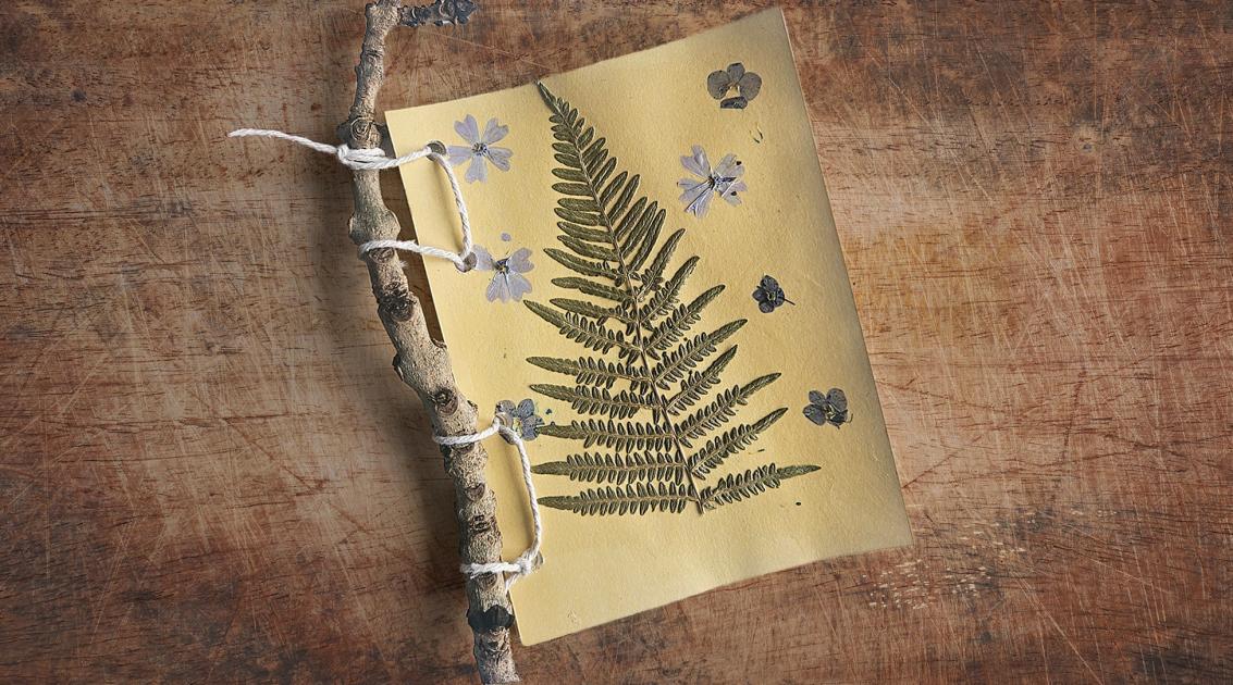 Create a nature book | WWF