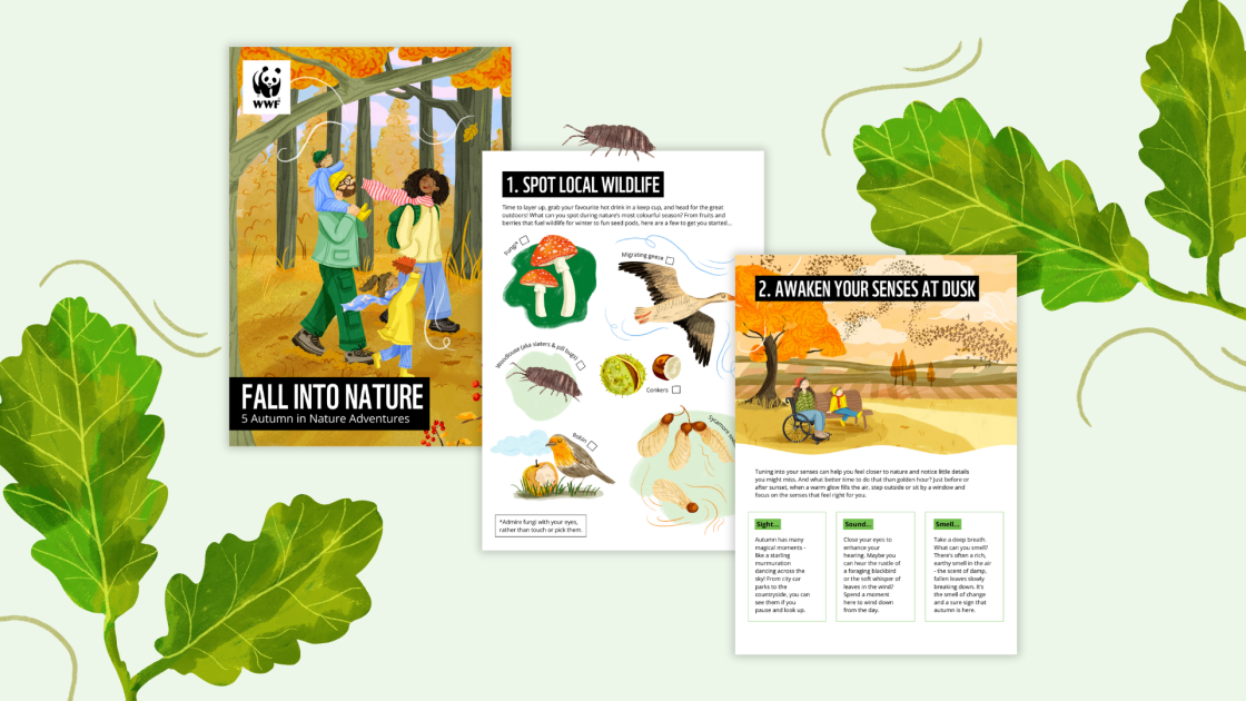 Fall into Nature Activity Pack | WWF