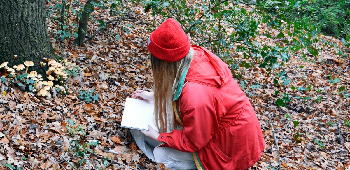 Draw a natural work of art | WWF
