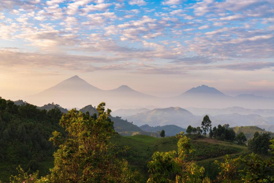 Zero Poaching in the Greater Virunga Landscape | WWF