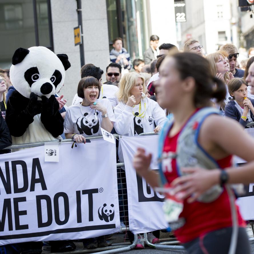 5k A Day In June | WWF