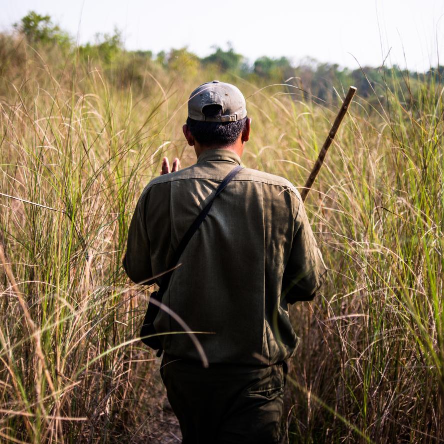 The snow leopard: elegant and elusive | WWF