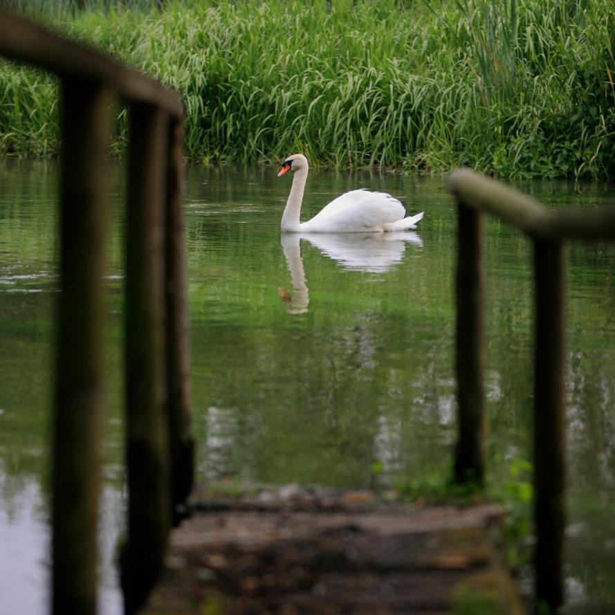 Protecting freshwater ecosystems | WWF