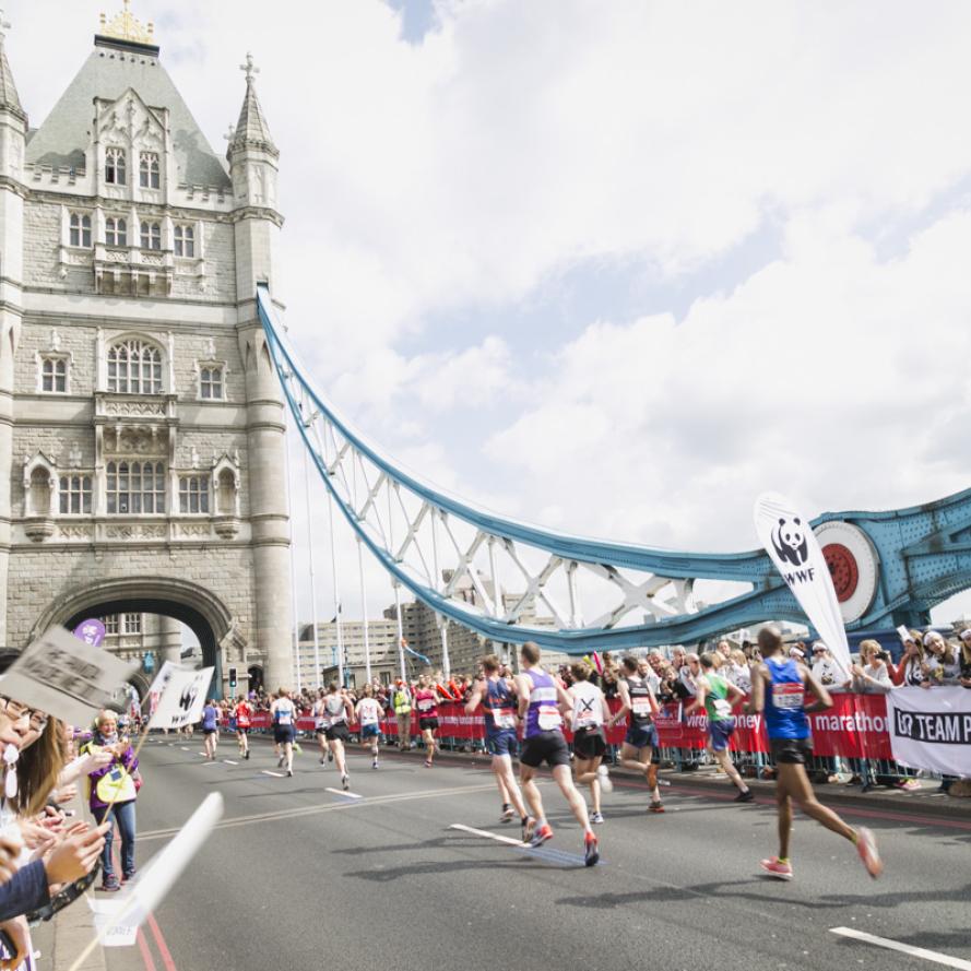 Join the race to save our world | WWF